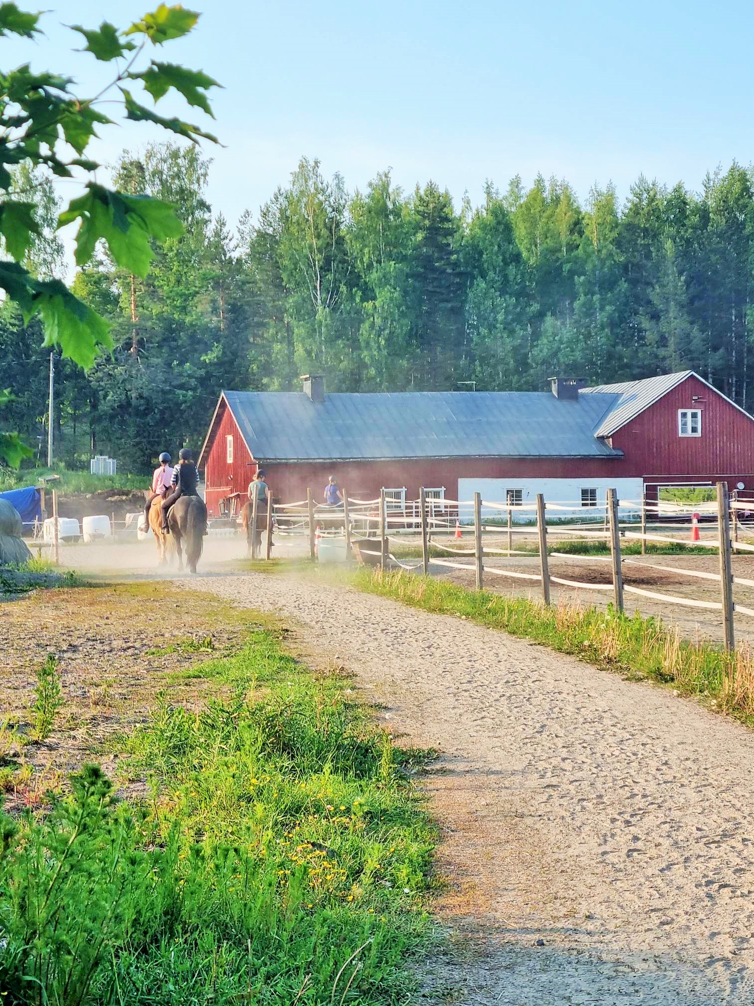 Hertsby Stallgård – Hevosia ja muuta kivaa